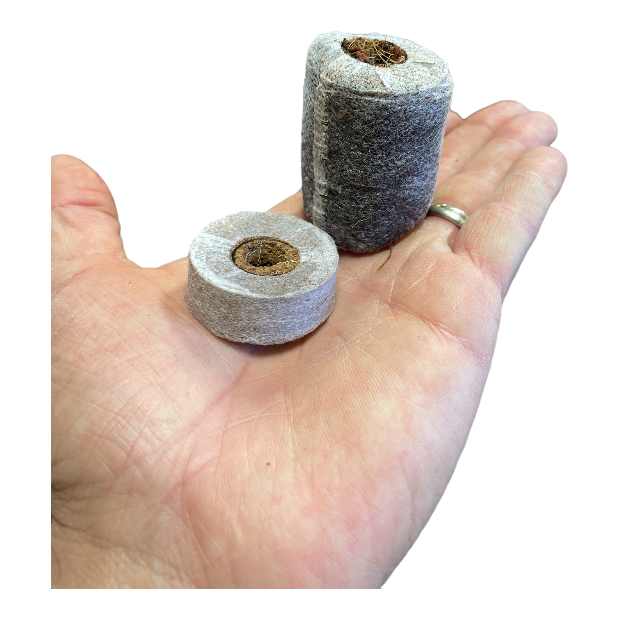 Coco Coin by Char Coir - Superior Rooting Pucks for Plant Propagation ...